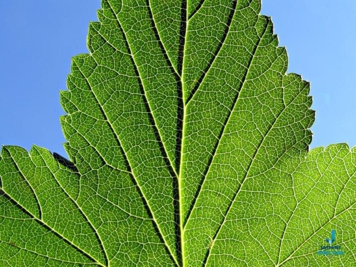 30 Photos Showing What Symmetry Really Means – Part 2