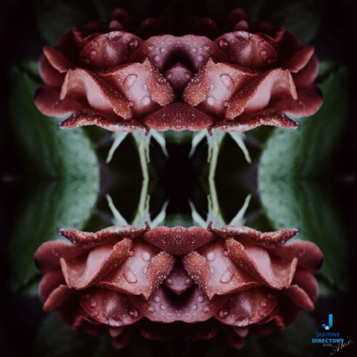 30 Photos Showing What Symmetry Really Means – Part 2