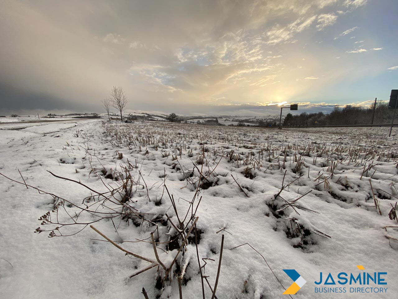 Dominating the Google Maps Pack: A US Business Guide to GBP Optimization