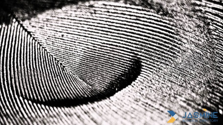 PageSpeed Insights API Integration Guide