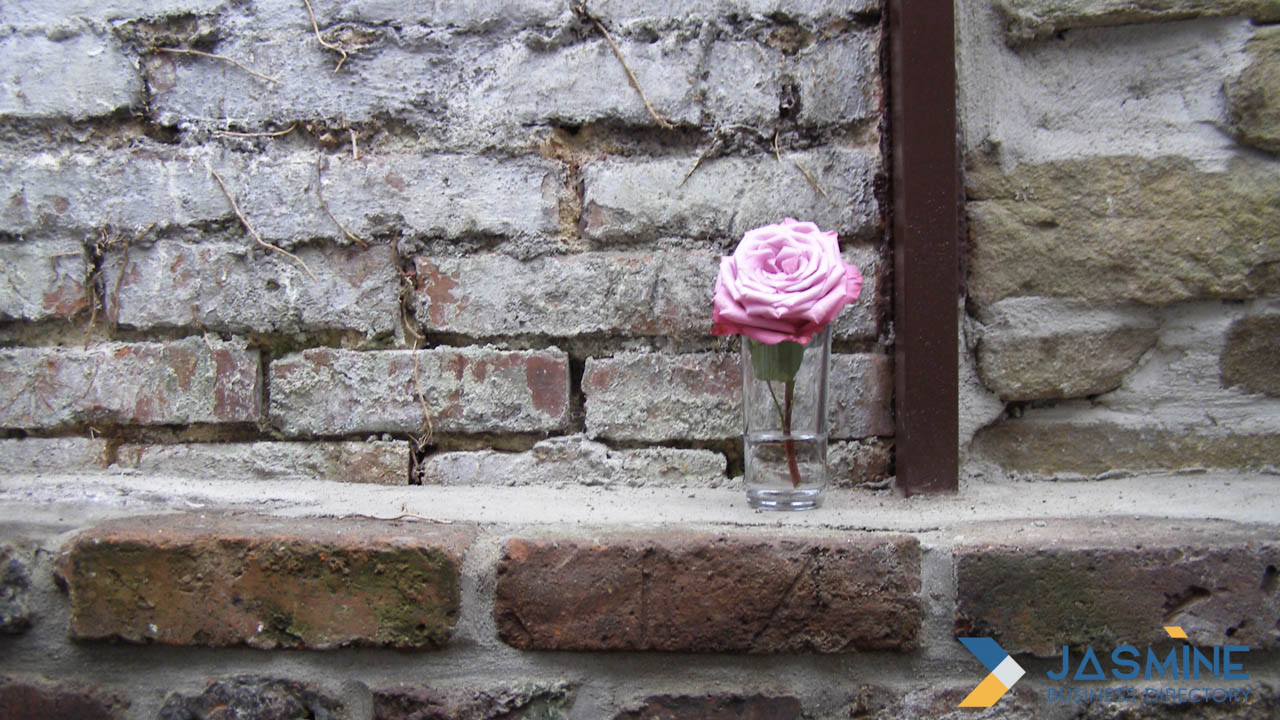 SEO in 2025: Why Old-School Directories Still Have a Place