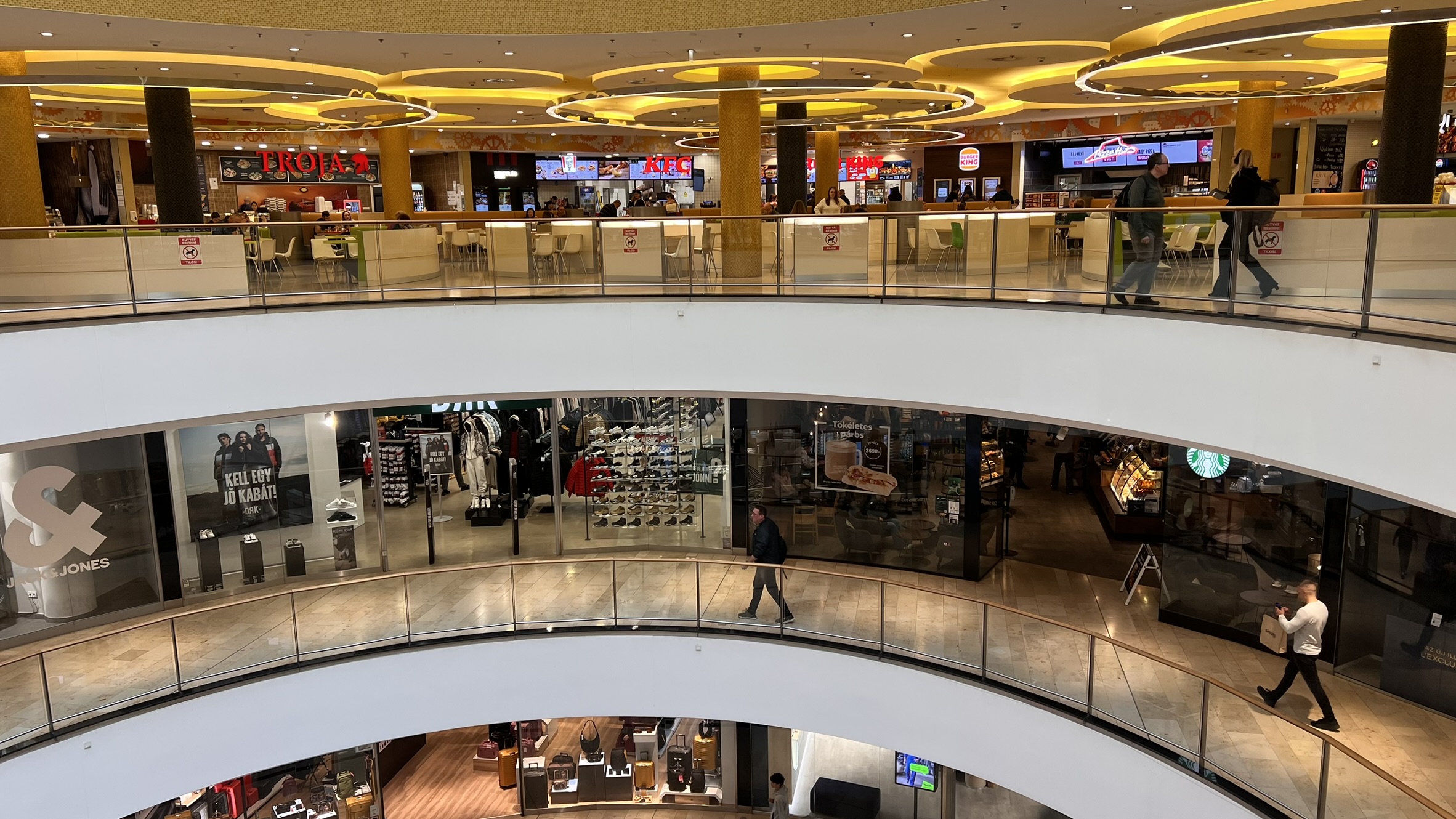 Dubai Case Study: Plastic Surgery Directory Growth