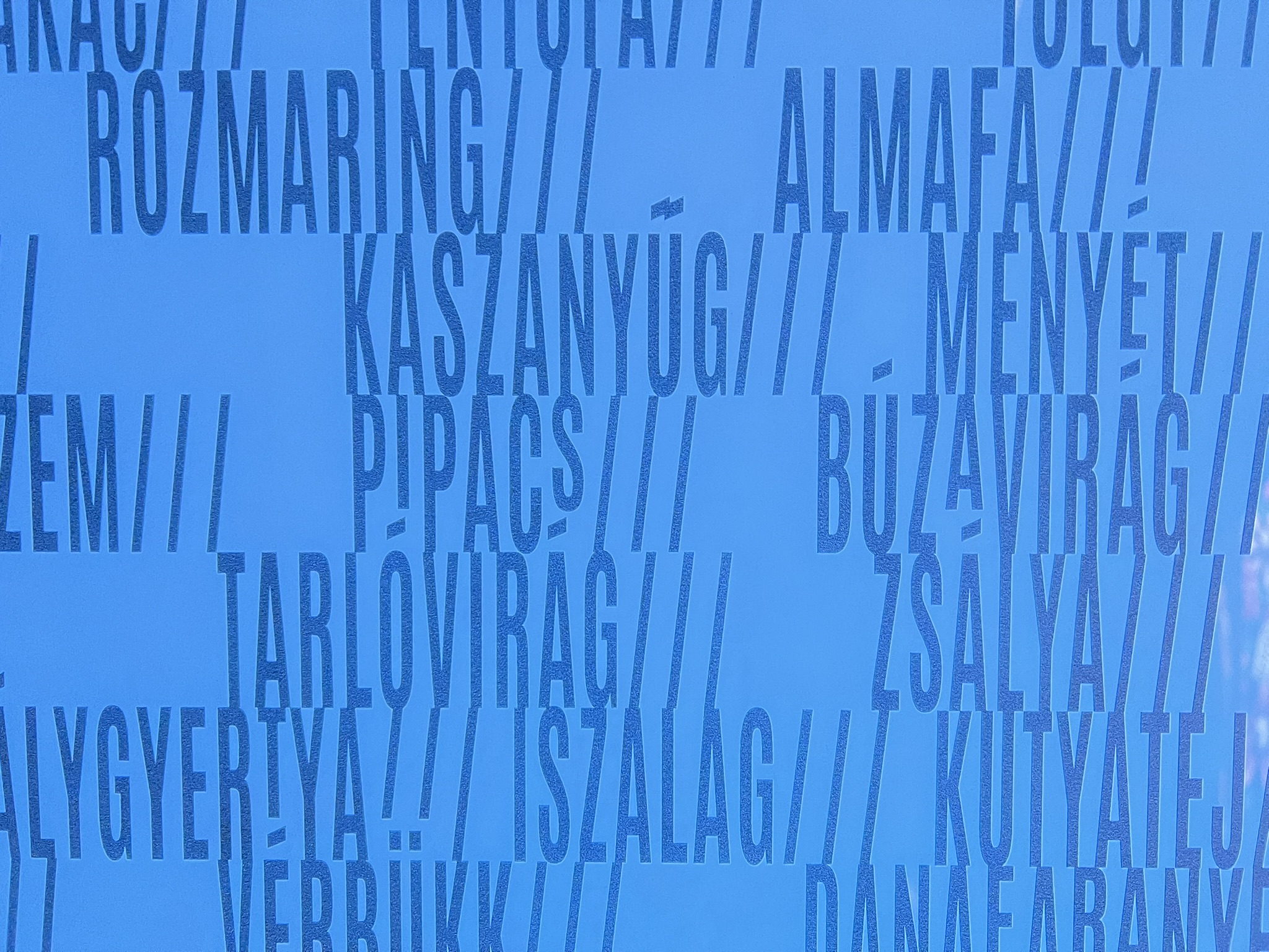 When a Misdiagnosis Changes Everything: Your Legal Rights